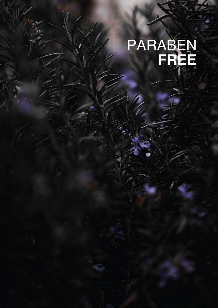 Limitless Project 2021 (Skincare Series 1st Launch) - Delphin